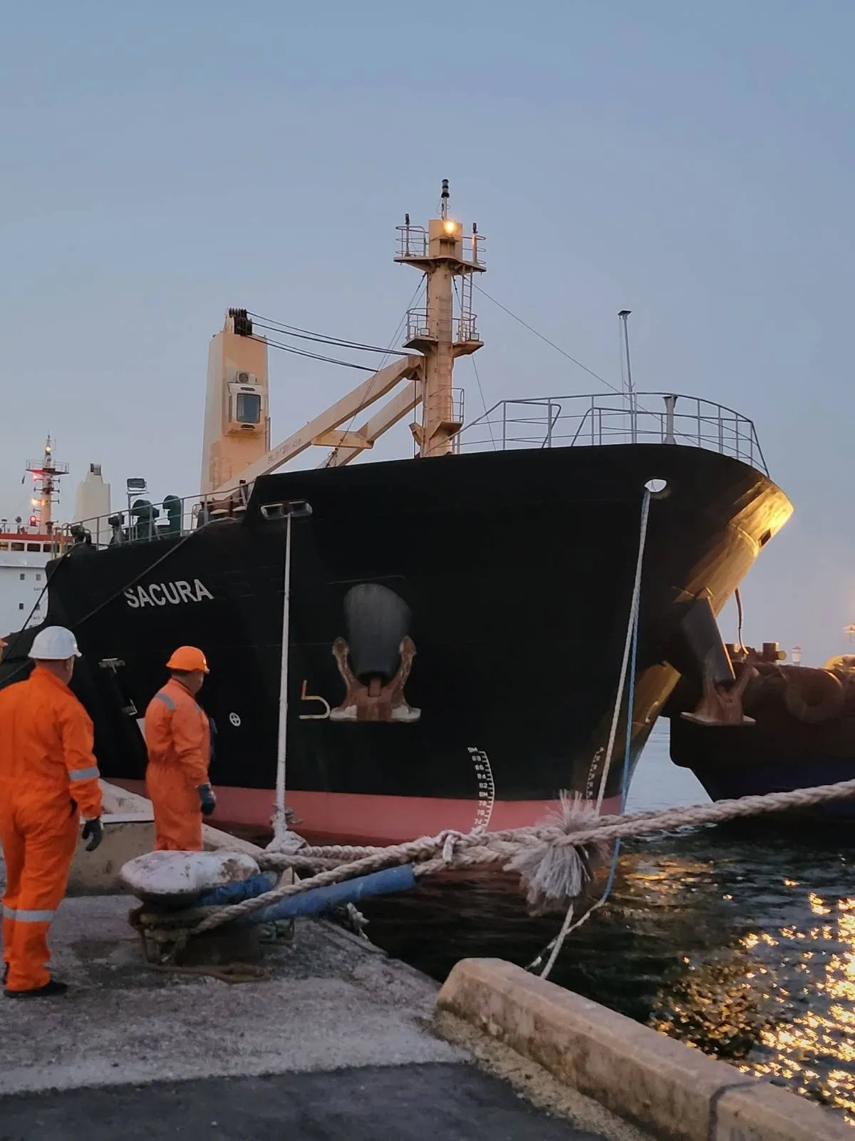 “Pivdennyi Port started working, as a ship carrying Ukrainian grain ...