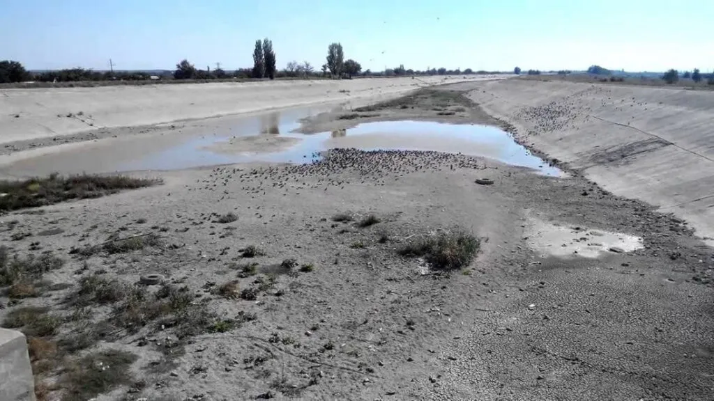 One third of Ukraine's ecosystems is damaged, it has direct impact on ...